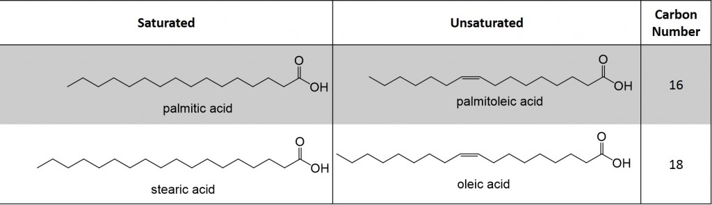 Organic Chemistry of Lipids