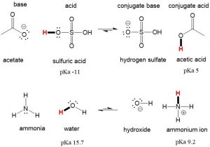 Reviewing Acid Base Definitions