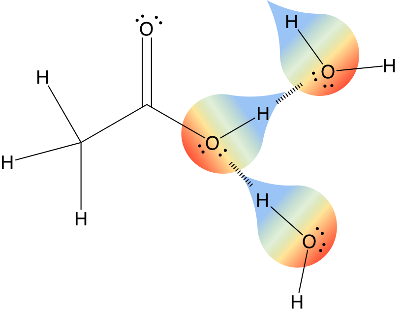 Intermolecular Forces Review Intermolecular Forces Review